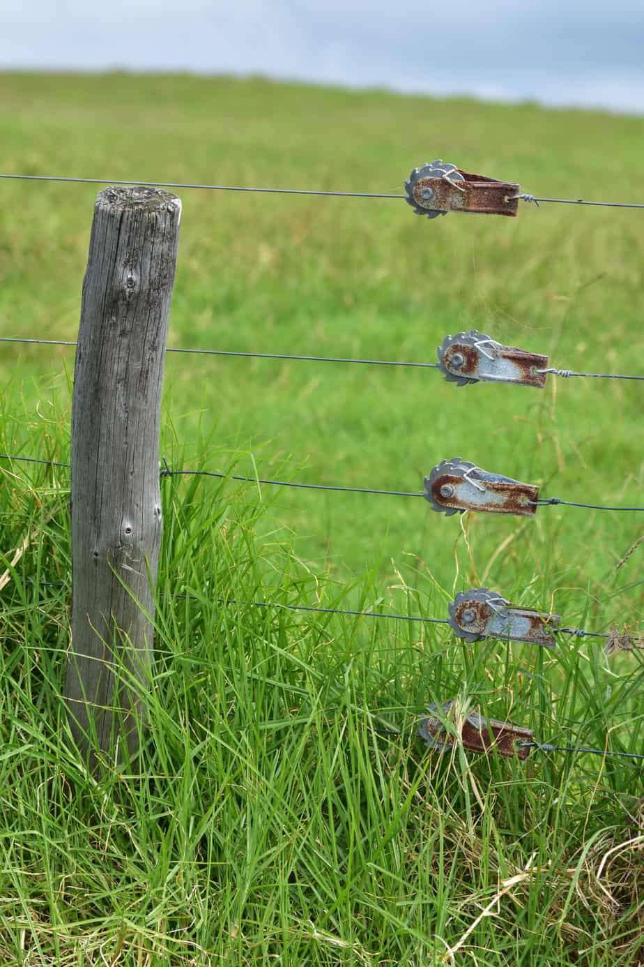 Do Chain Link Fences Need to Be Grounded? – Fence Frenzy
