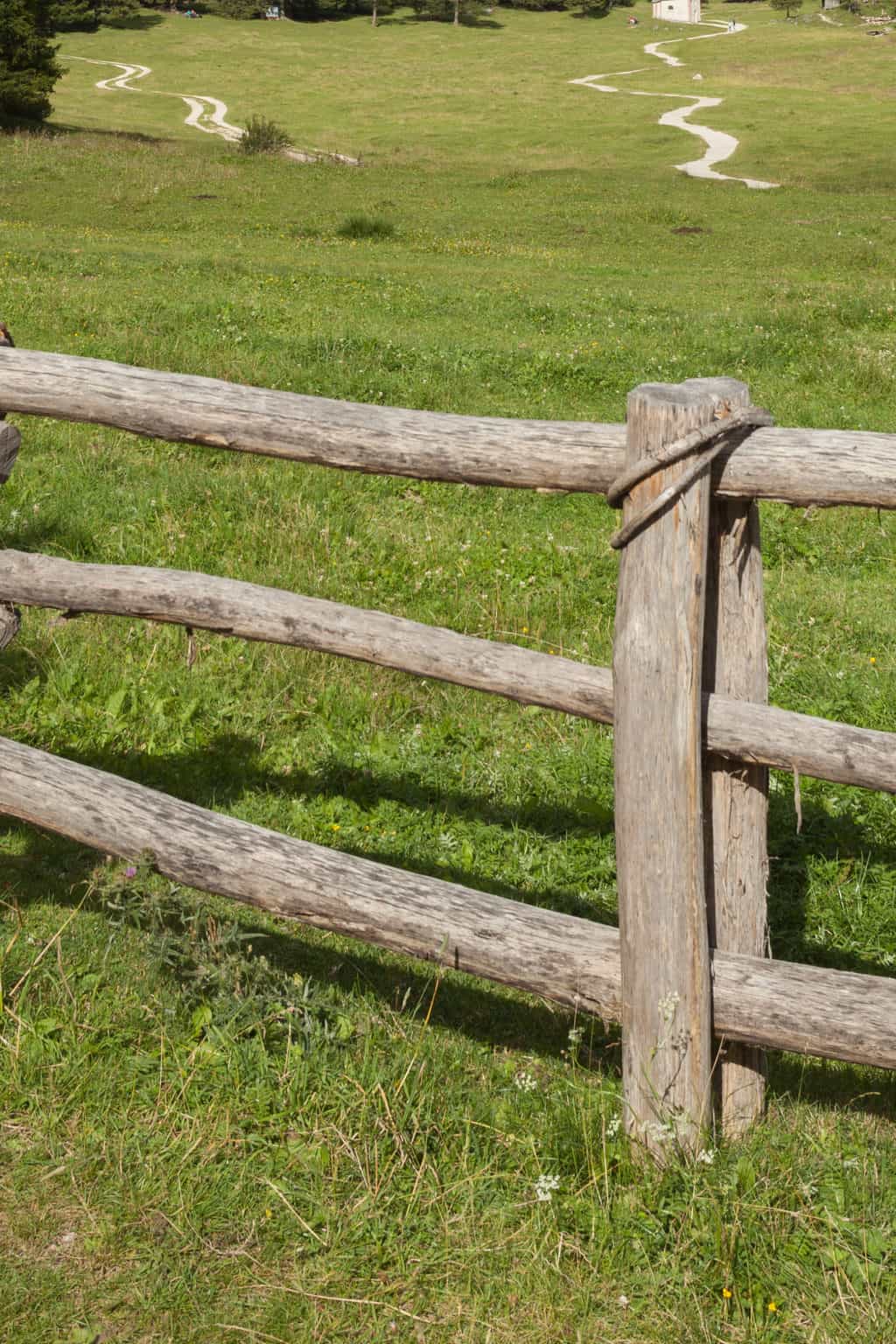 Do Fence Posts Simply Slot In? – Fence Frenzy