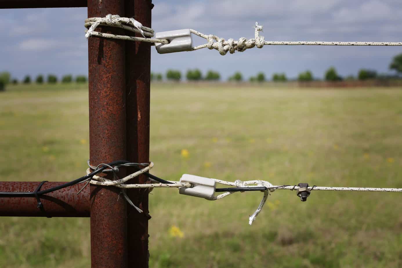 Electric Fence vs. Barbed Wire: What Works Best? – Fence Frenzy