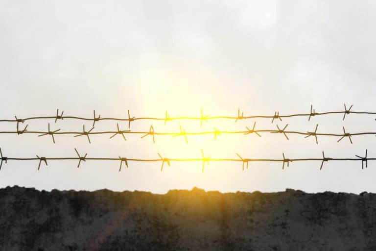 How Dangerous Is Barbed Wire? – Fence Frenzy