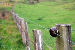 5 Great Alternatives to Barbed Wire Fencing – Fence Frenzy